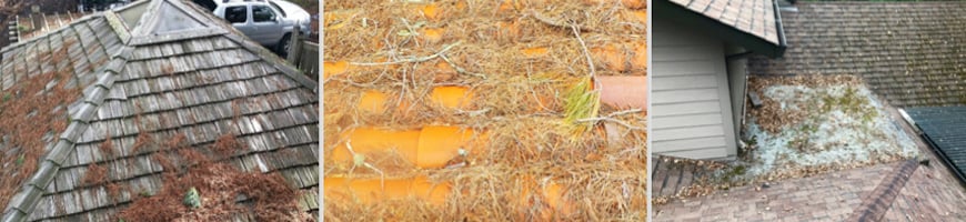 Northern CA Wildfires: Roof Maintenance to save Marin, Sonoma, & Napa