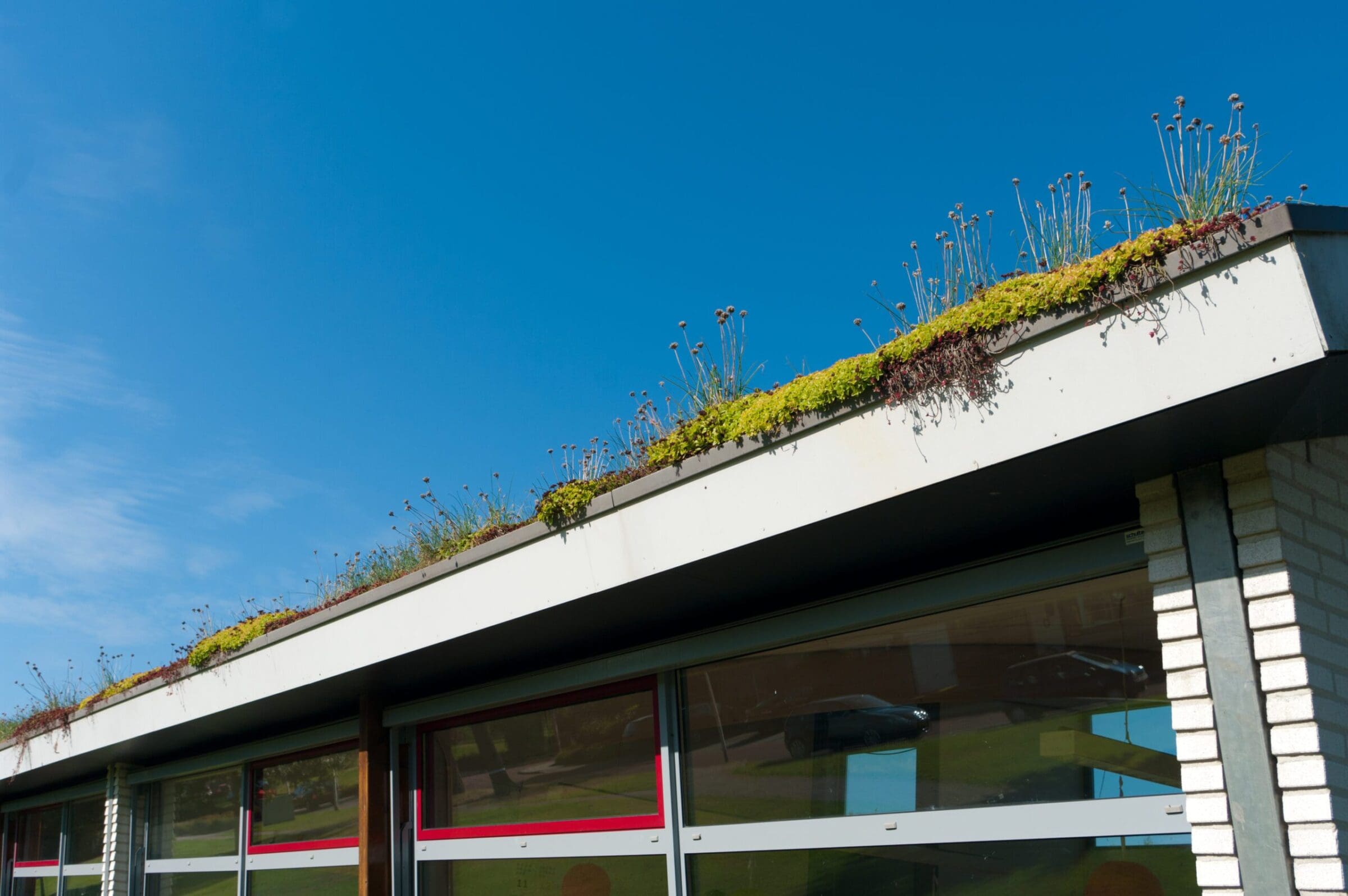 Eco Friendly Roofing in Marin County, Sonoma, San Francisco, and Napa.