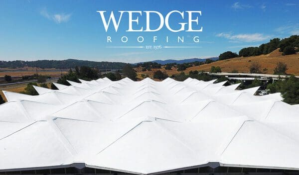 Birkenstock Building to Eames Institute: Wedge Roofing Preserves a ...