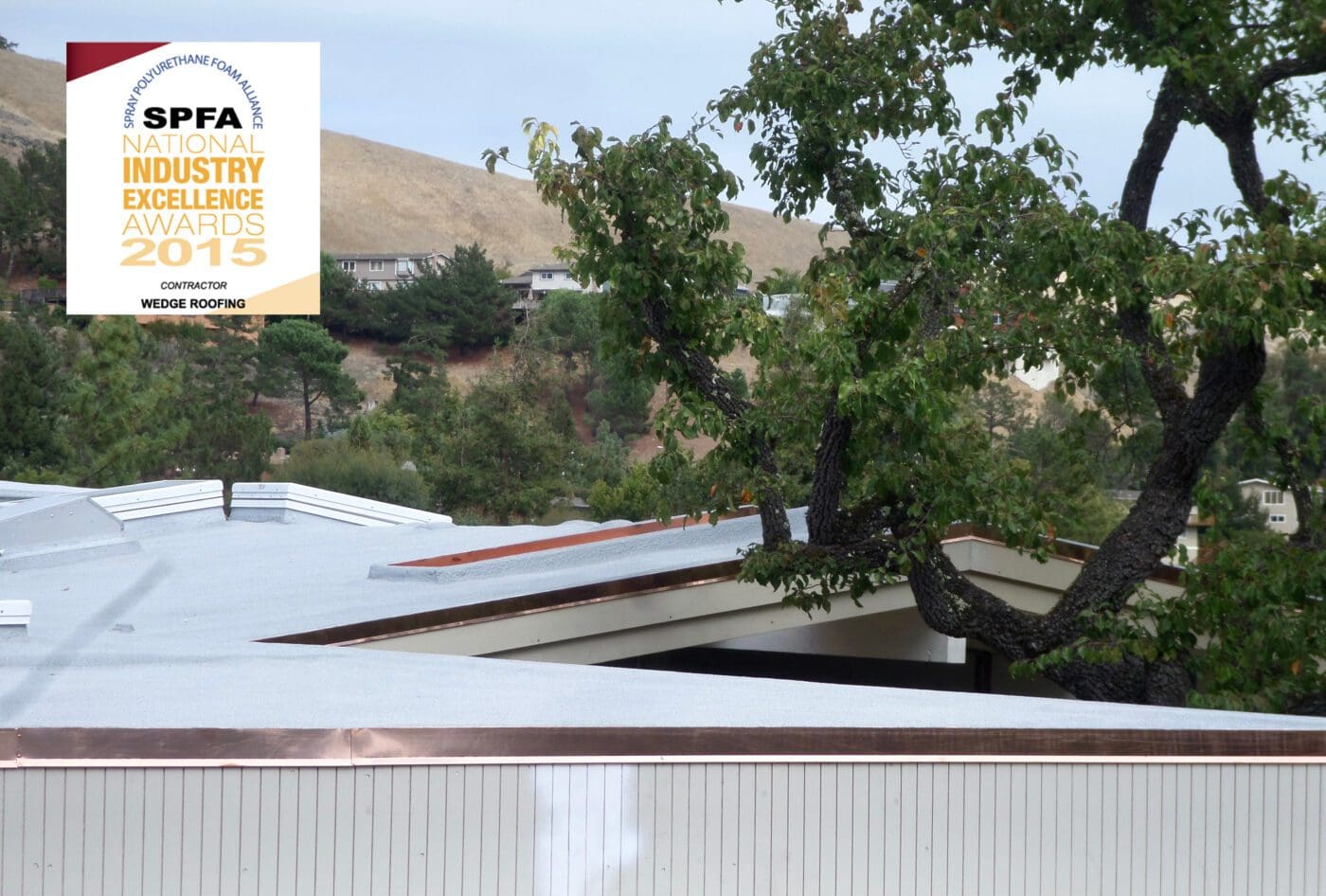 Award-Winning Marin Eichler Roof | Wedge Roofing