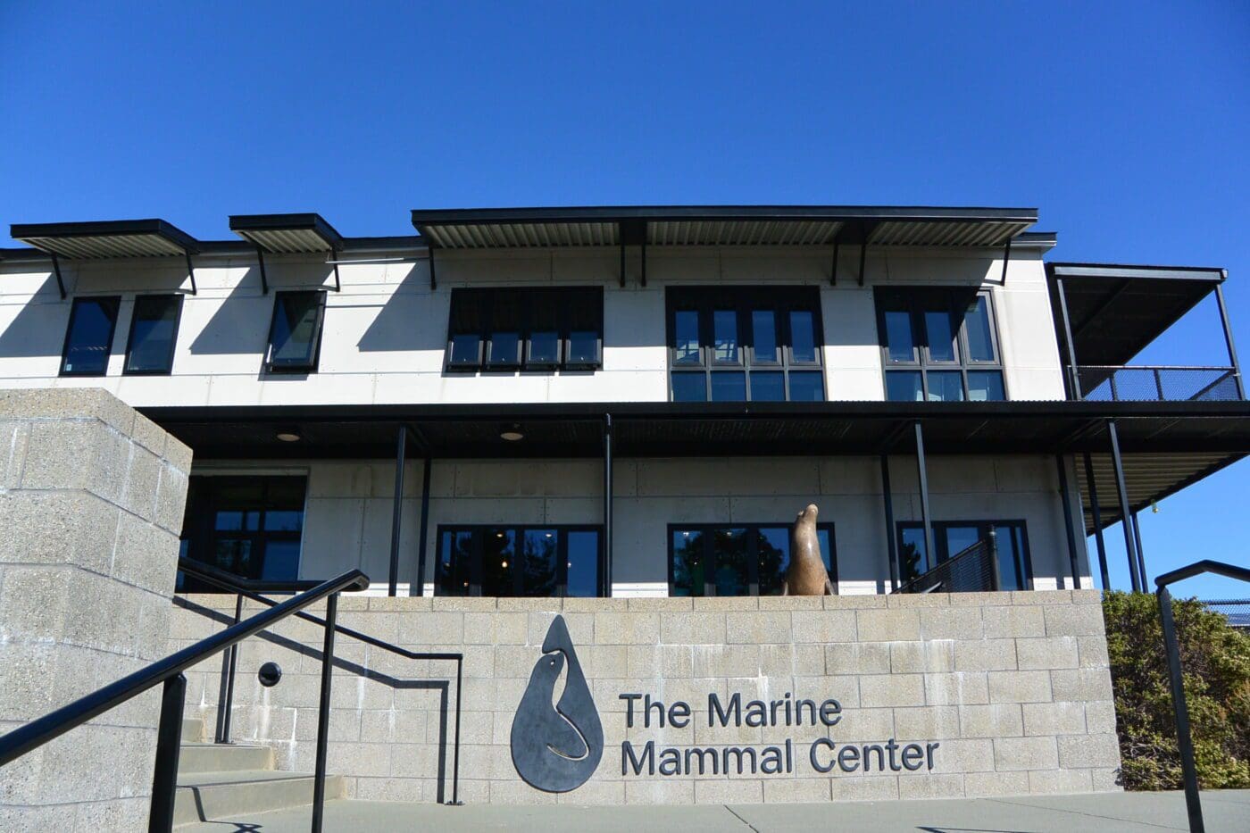 Marine Mammal Center | Wedge Roofing